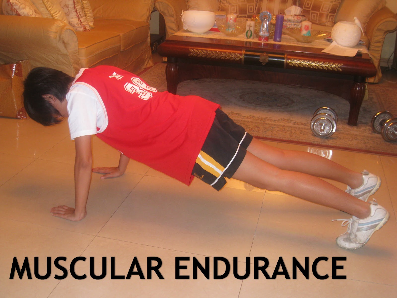 Up Up Down Down: A Step Test To Determine Aerobic Endurance: Knowing ...